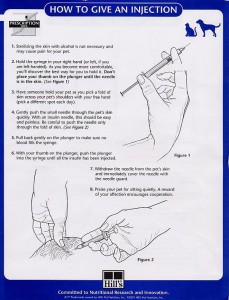 Subcutaneous Injections - Amherst Small Animal HospitalAmherst Small ...